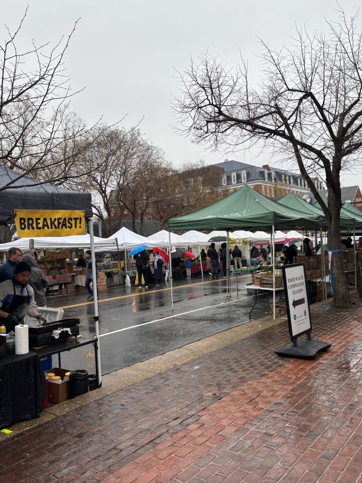 City Hall Renovations Force Farmers Market Relocation – Theogony